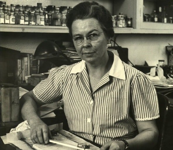 5 femmes qui ont marqué le génie | Génie-inc